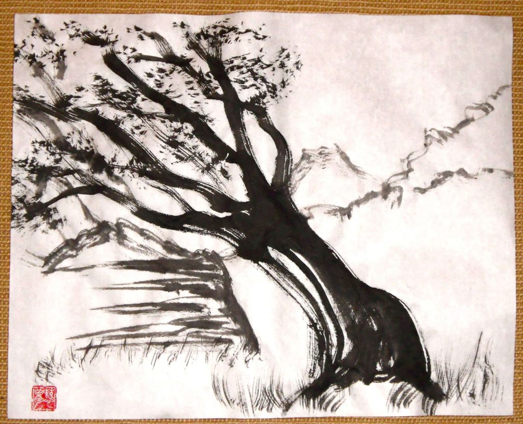 Meet Anna Szabo: A Lesson in Perseverance – STEMM Leadership